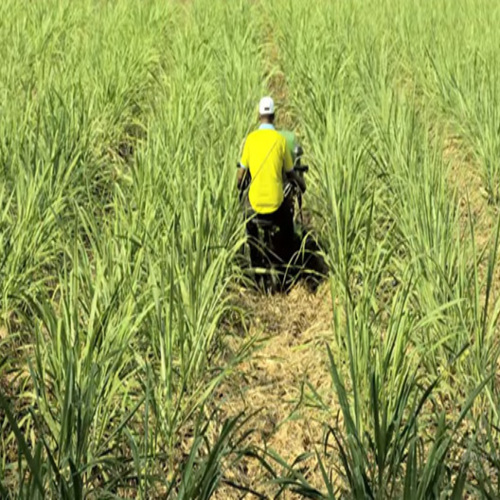 EARTHING UP - Kirloskar Oil Engines Ltd