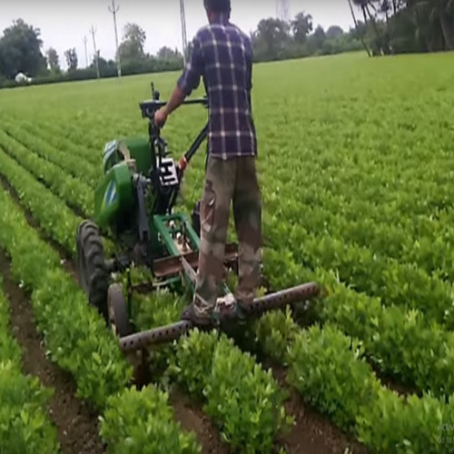 RTH INTER CULTIVATION - Kirloskar Oil Engines Ltd